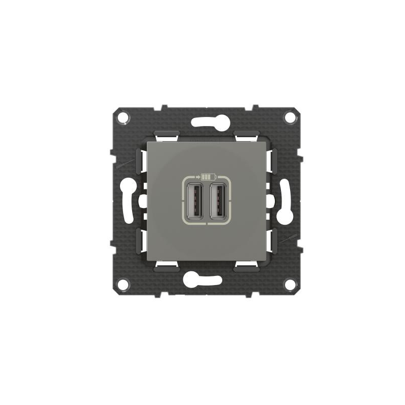 Bticino BTAL30CD altège prise double chargeur usb - 2400 ma - nuage - compo