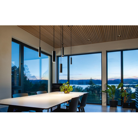 Zip Tube Mini suspension rail 1 allum. noir 880lm 2700K Ra 98 coupure ...