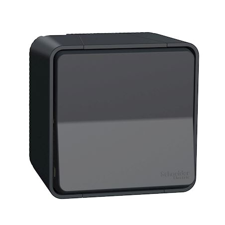 Schneider Electric MUR35033 Switch bipolar gray surface-mounted IP55